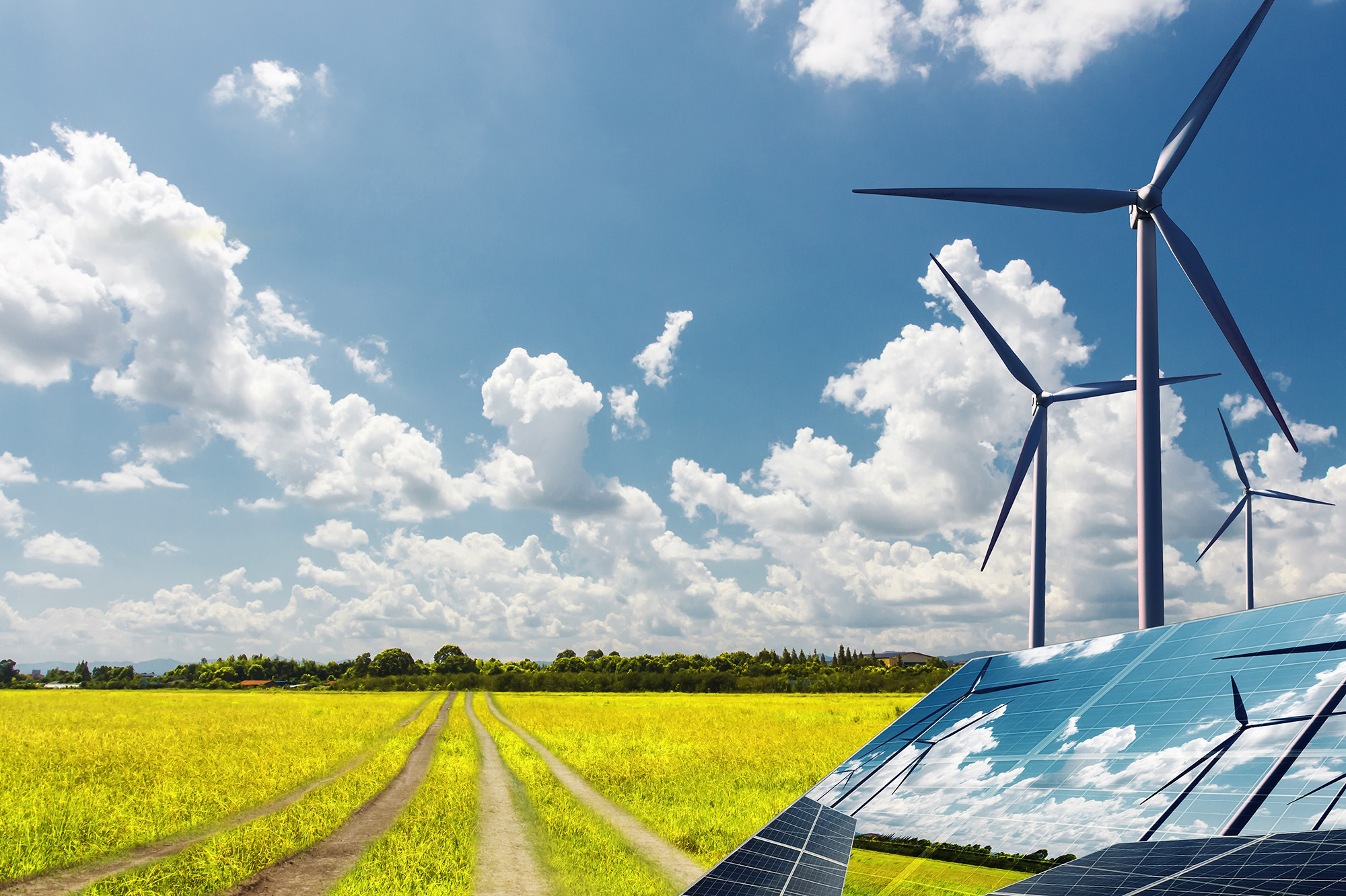 Net zero: finance ministries must step up and take lead, states Oxford ...