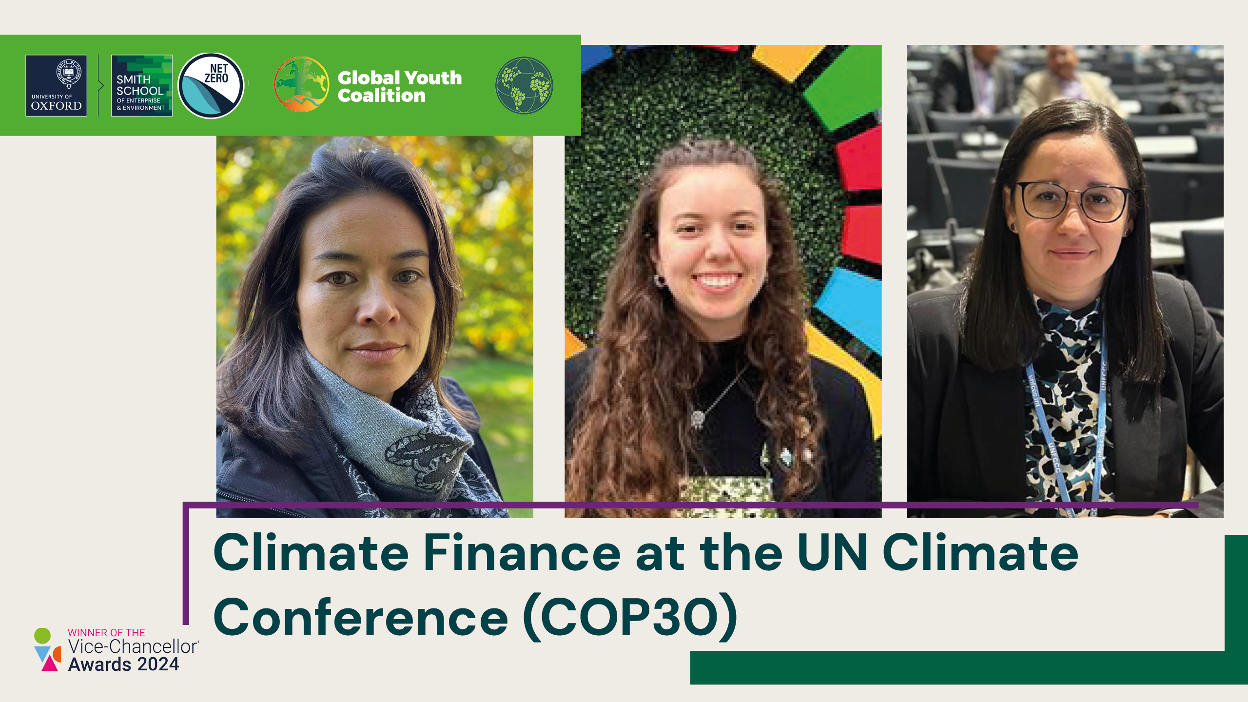 Climate Finance at the UN Climate Conference (COP30) | Smith School of ...